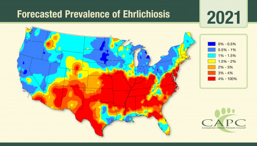 Ehrlichia spp. Forecast 2021 | Pets & Parasites: The Pet Owner's ...