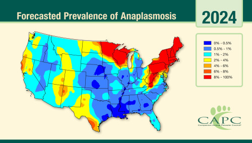 2024 Anaplasma spp. Forecast | Pets & Parasites: The Pet Owner's ...